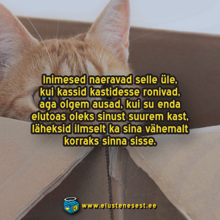 Inimesed naeravad selle üle, kui kassid kastidesse ronivad, aga olgem ...